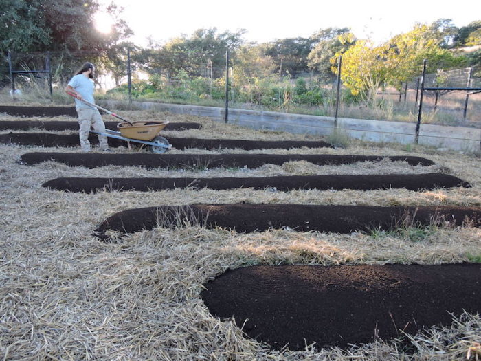 Keyline Garden Design in Central Texas