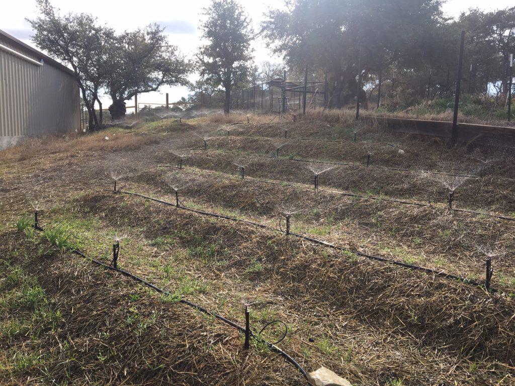 Keyline Garden Design in Central Texas