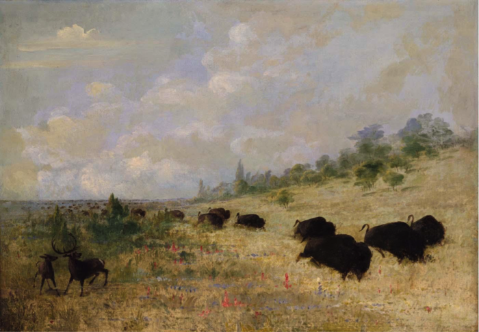 Texas Prairie History: Original accounts from Texas explorers ...